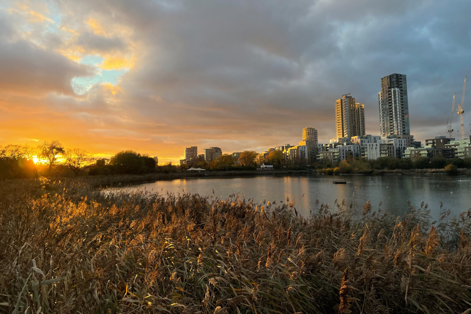 Three Ways to Deepen Your Connection to Nature in London - Ostara
